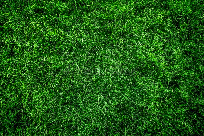 Grass Ground Top View Stock Illustrations – 3,365 Grass Ground Top View ...