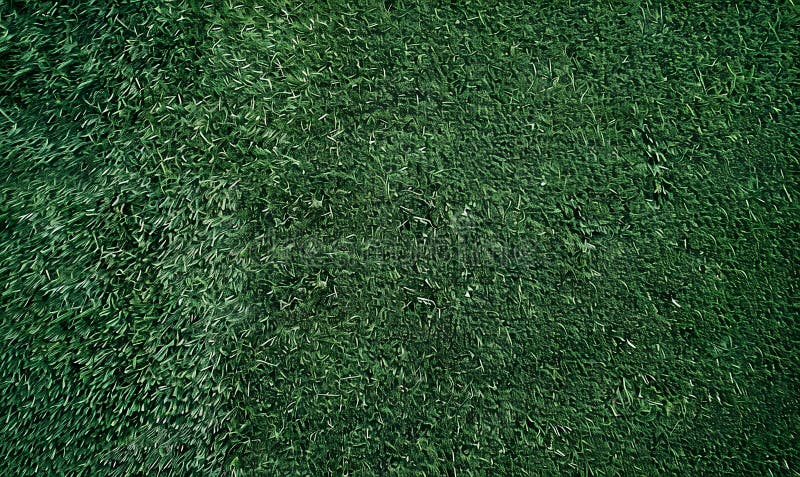 Top View of Green Grass Texture Background for Sport Fields - AI ...