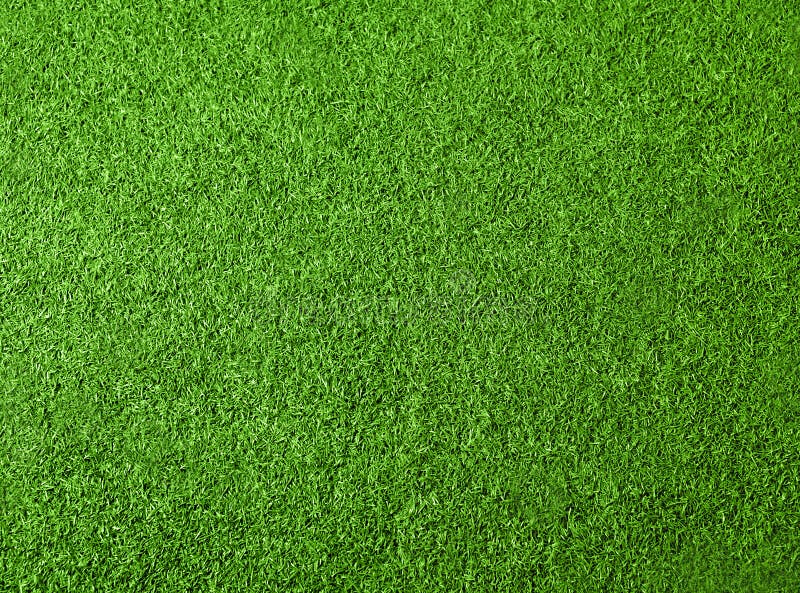 Green Grass Texture for Background. Top View Stock Photo - Image of ...