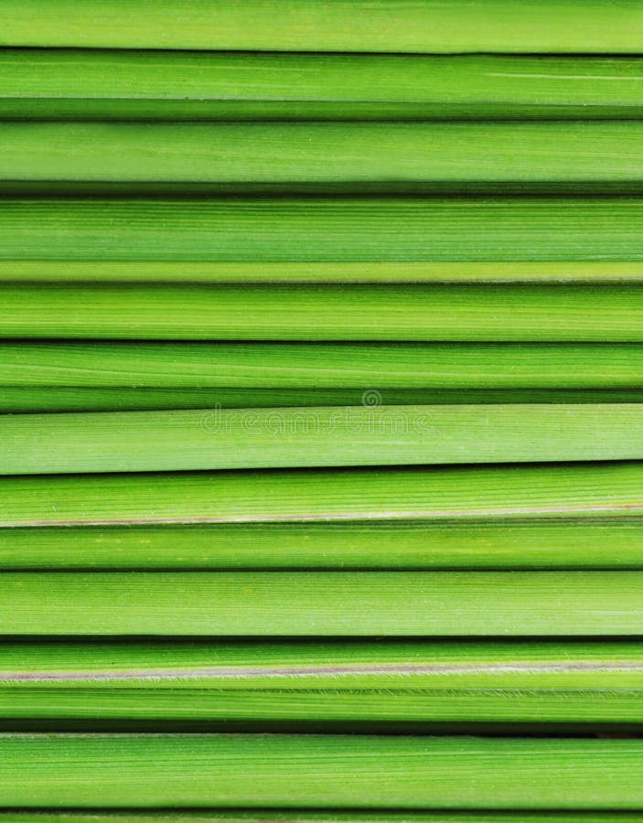 Fvfvbzfd stock image. Image of sdfghsdfh, sdfhdfg, dfhdfgsh - 34016471