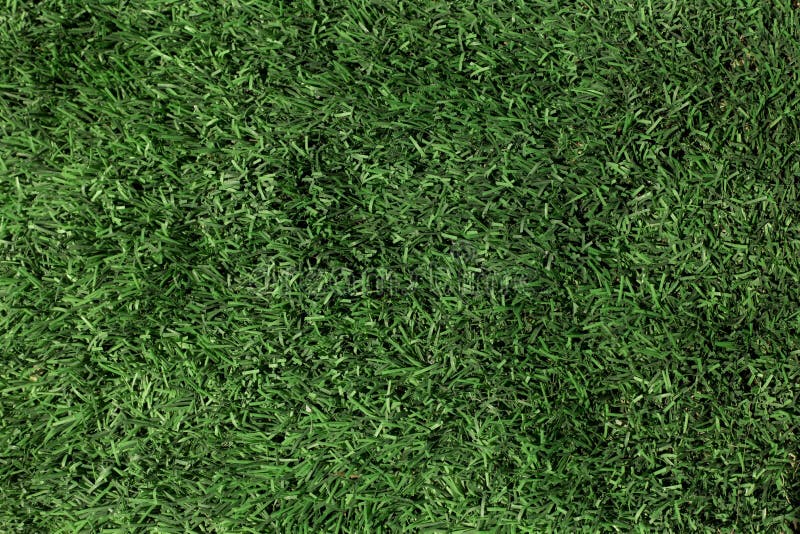 Green Grass Texture Close Up. High Quality Photo Stock Image - Image of ...