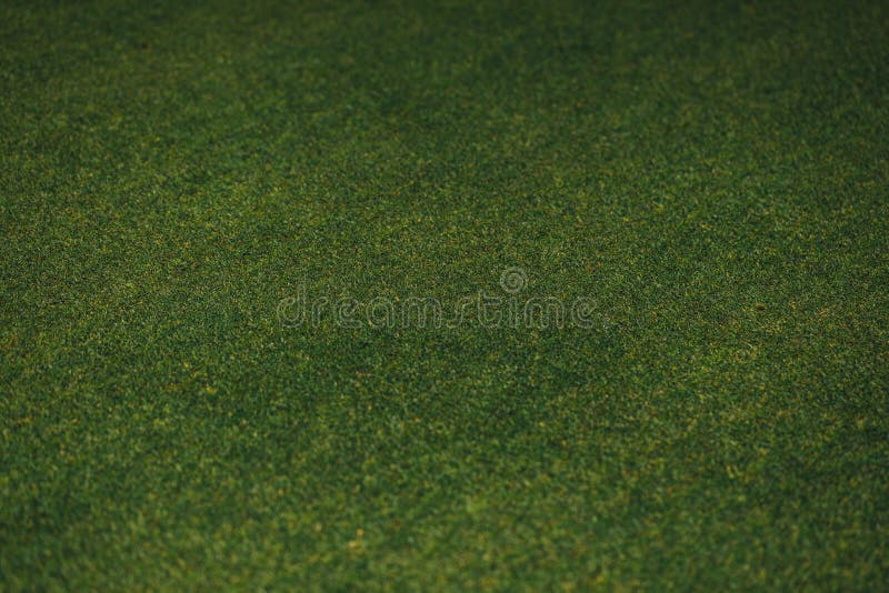 Green Grass Texture at Golf Course Stock Image - Image of golf ...