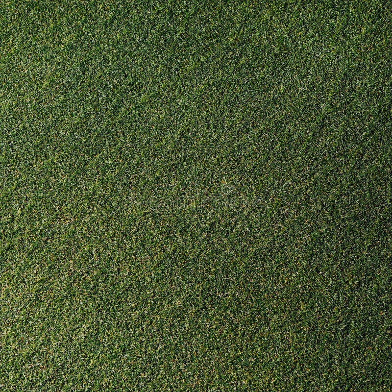 Green Grass Texture at Golf Course Stock Image - Image of flora ...