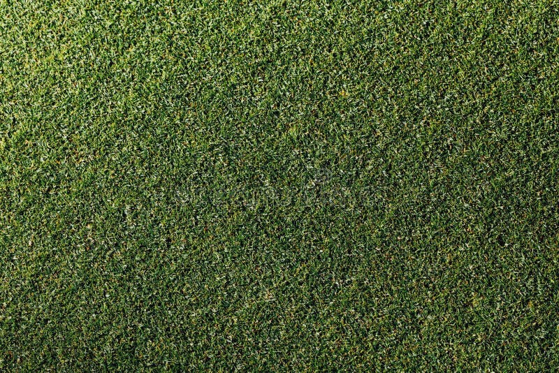 Green Grass Texture at Golf Course Stock Image - Image of plant, outdoors: 119112799