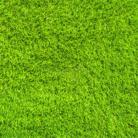 Green grass texture stock photo. Image of clean, grass - 144178172