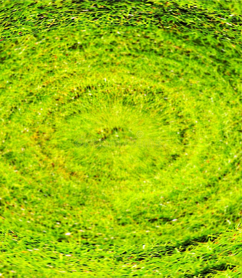 Green grass texture stock photo. Image of environment - 239881022