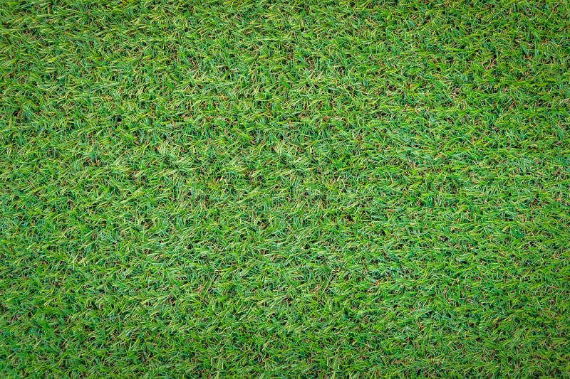 Green grass texture stock photo. Image of land, environment - 69323762