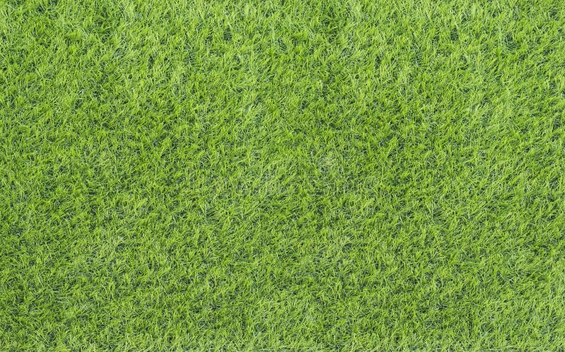 Green Grass texture stock photo. Image of growth, freshness - 66705352