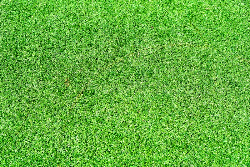 Natural Grass Texture Patterned Background Golf Course Turf Top View Stock Photos - Free ...