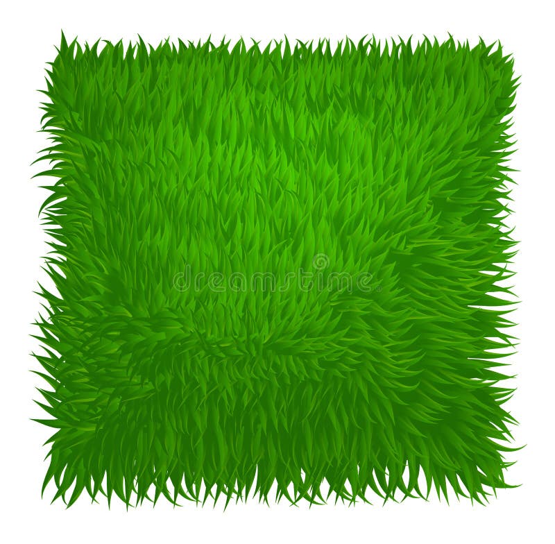 Green Grass Texture Rectangle Isolated on White Stock Vector ...
