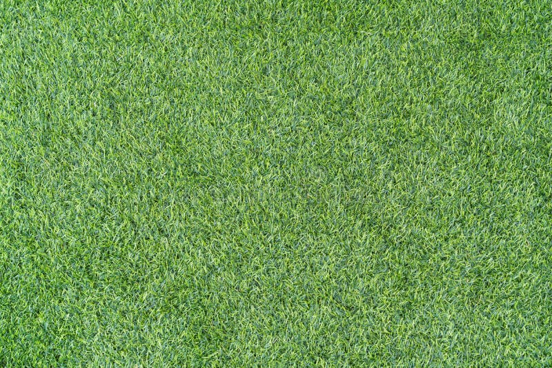 Green grass textured stock image. Image of land, green - 178278977