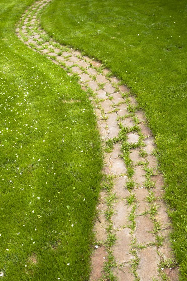 Stone Path with Green Grass Stock Photo - Image of green, lawn: 16234104