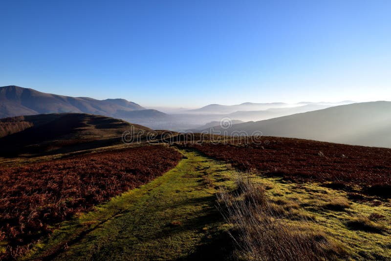 Green Grass Track Over Sleet How Stock Photo - Image of blease ...