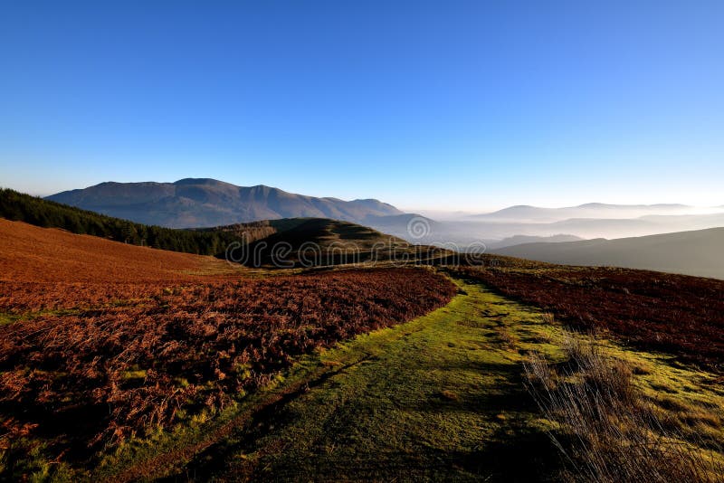 Green Grass Track Over Sleet How Stock Photo - Image of blue, heather ...