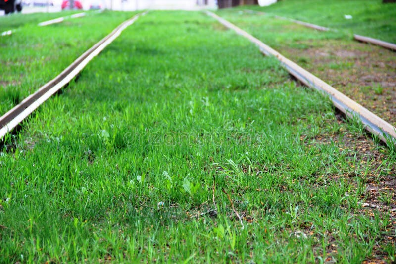 Grass Tram Way stock photo. Image of foliage, background - 28238368
