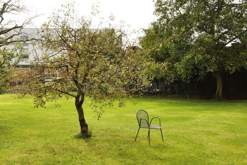 Green Grass, a Tree and a Chair in a Park - Calm Relaxing Concept Stock ...