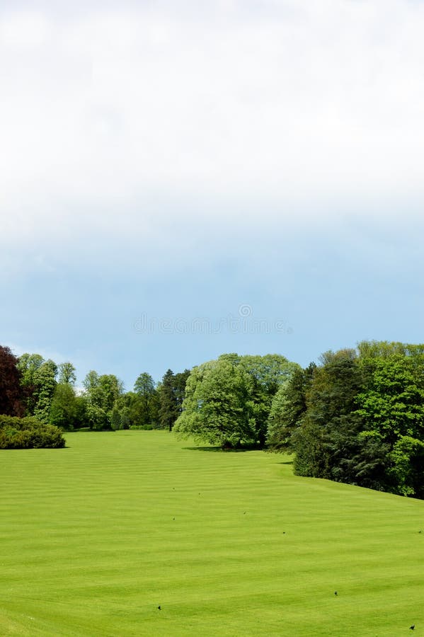 Green grass and trees stock photo. Image of beautiful - 57326000