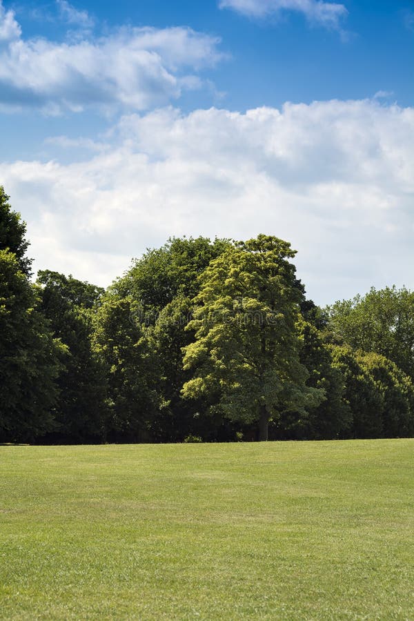 Green grass and trees stock photo. Image of leaf, cloud - 42129104