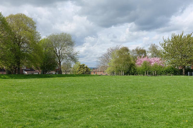Green Grass and Trees in a Playing Field Stock Image - Image of forest ...