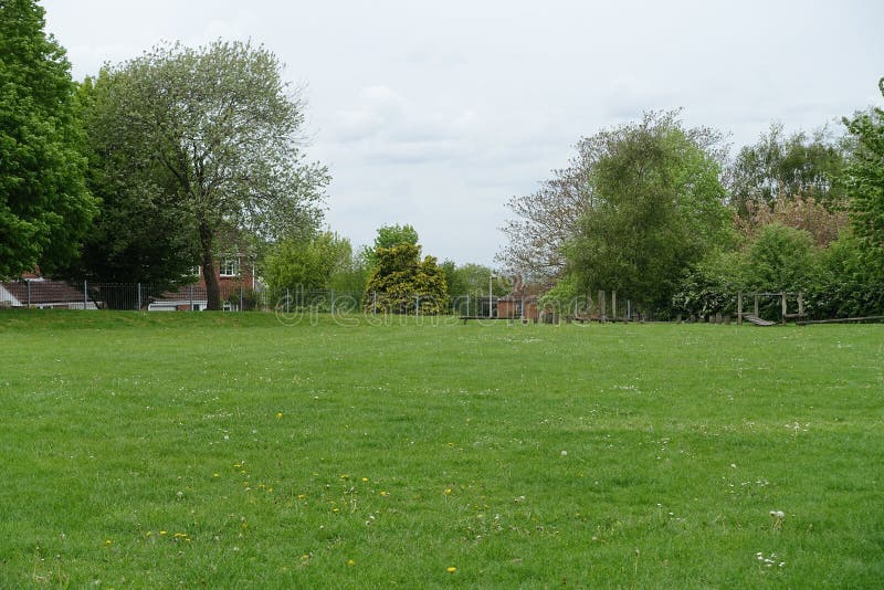 Green Grass and Trees in a Playing Field Stock Photo - Image of cloud ...