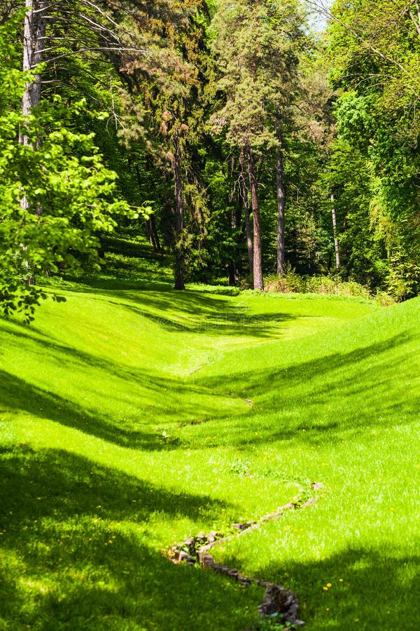 Green grass and trees stock image. Image of outdoor, trees - 54445585