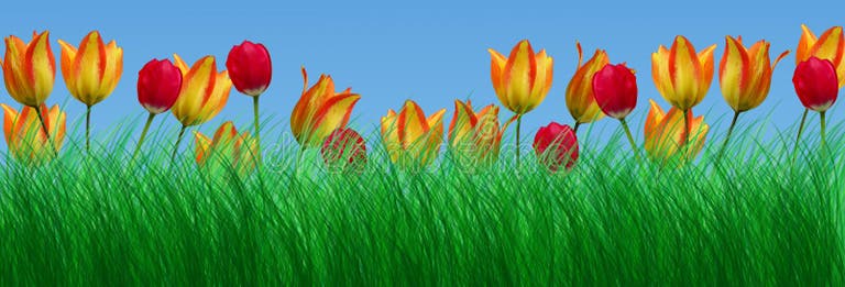 Springy Grass Stock Illustrations – 64 Springy Grass Stock ...