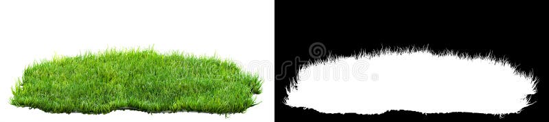 Green Grass Turf Isolated on White Background with Alpha Mask for Easy ...