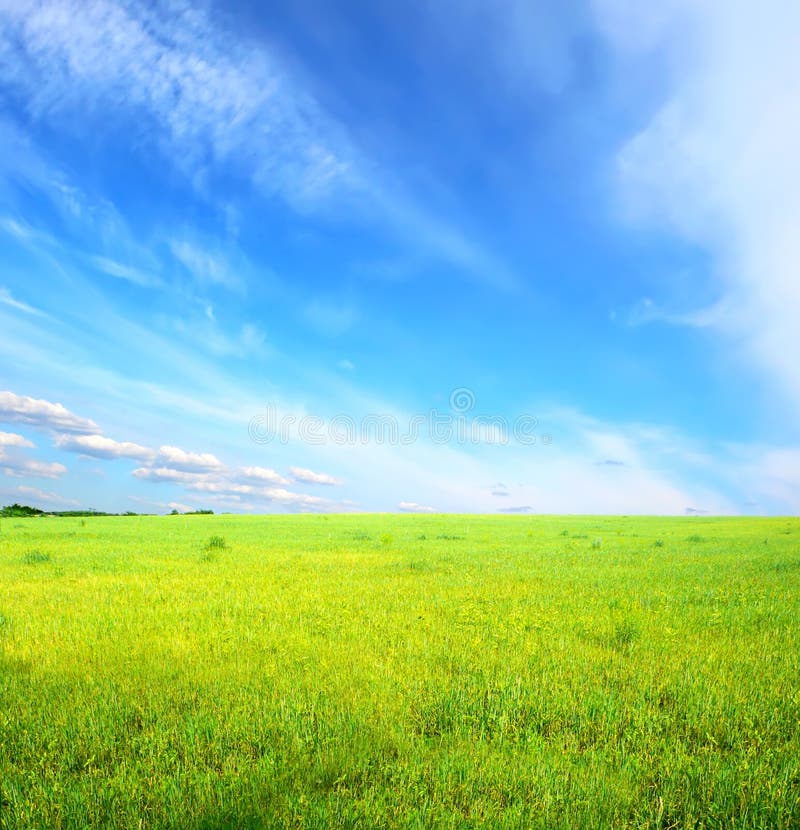 Green grass under blue sky stock image. Image of nice - 10074485
