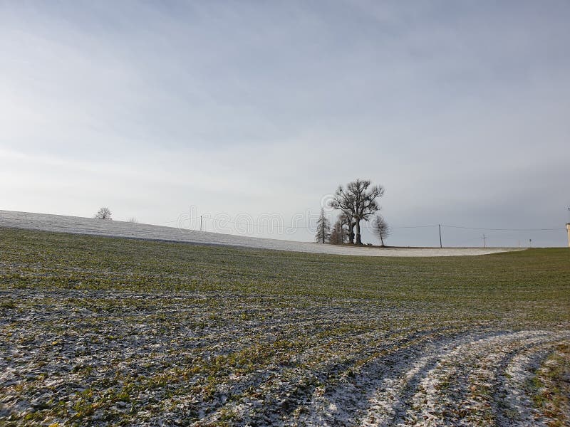 Green Grass Under the Snow. the First Snowfall Stock Image - Image of ...