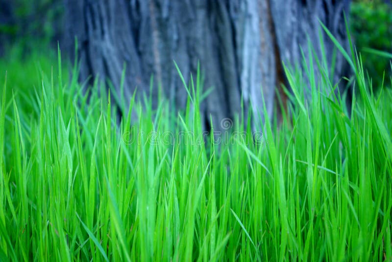 Irur - Photographer profile