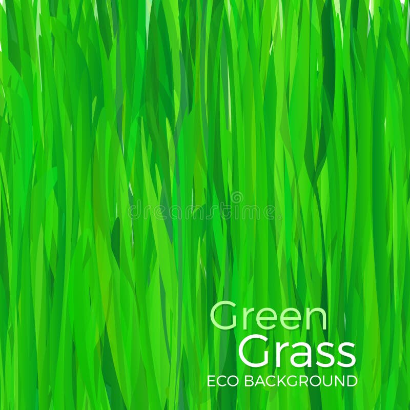 Green Grass Vector Background Stock Vector - Illustration of grass ...