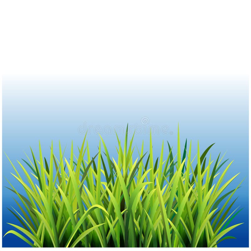 Rumput Stock Illustrations – 34 Rumput Stock Illustrations, Vectors ...