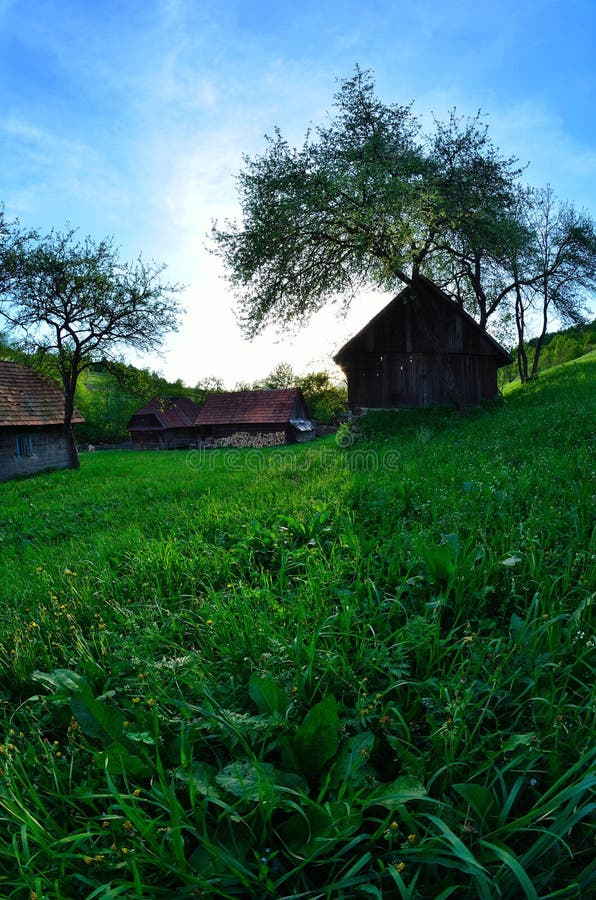 Green Grass in the Village stock image. Image of vacation - 30989557