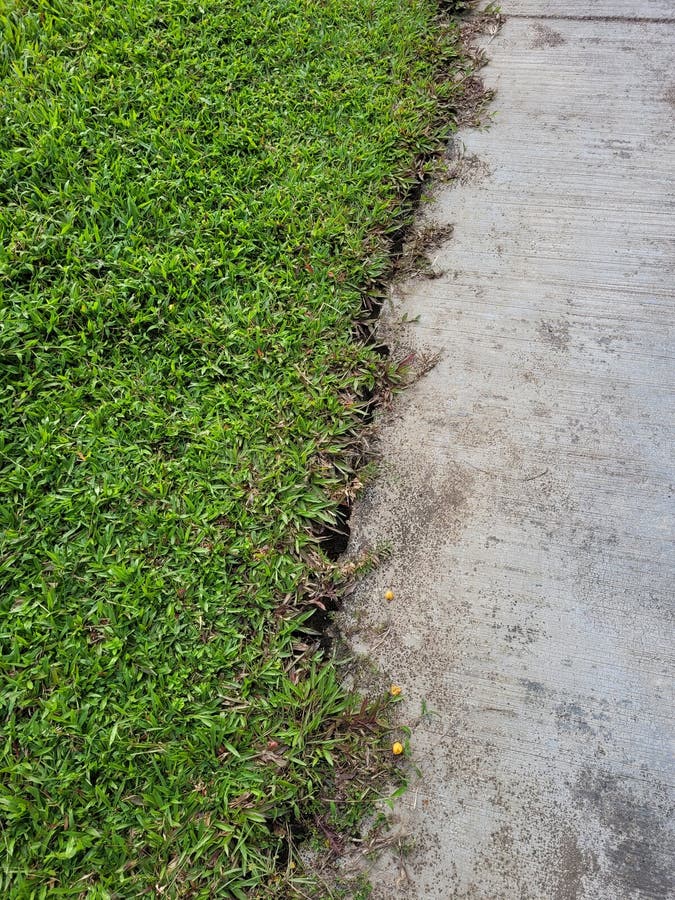 Green Green Grass Vs Hard Grey Floor Stock Image - Image of green ...