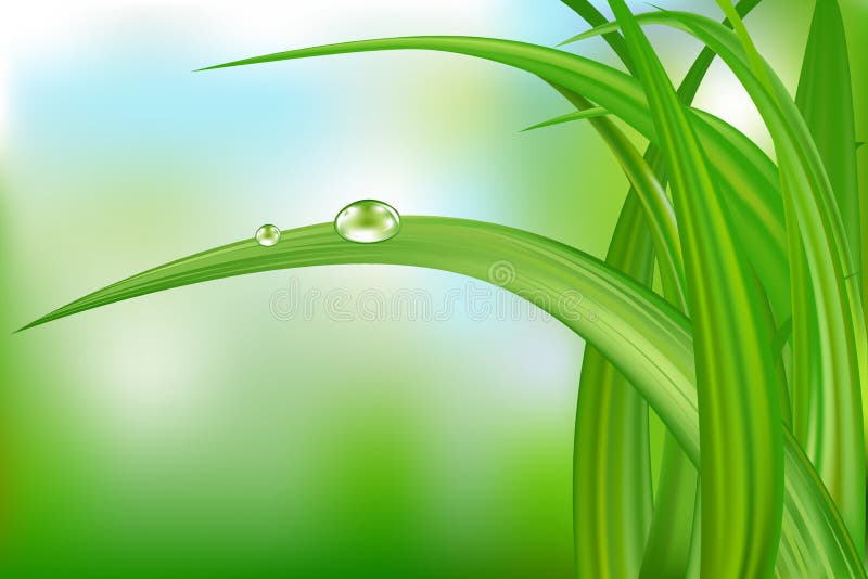Grass on water stock vector. Illustration of growth, element - 11355356