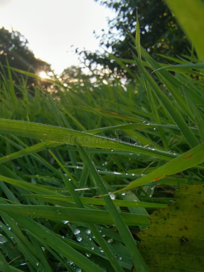 Water marks in the Sand stock photo. Image of pattern - 10982614