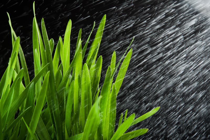 660,379 Grass Water Background Stock Photos - Free & Royalty-Free Stock ...