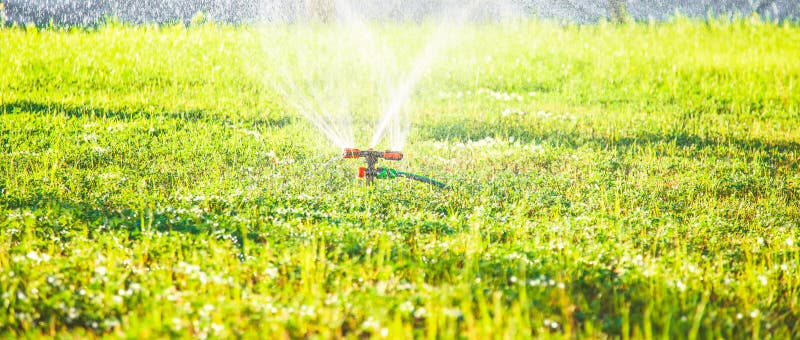 Green Grass with Water Splashes. Irrigation System Background, Banner ...