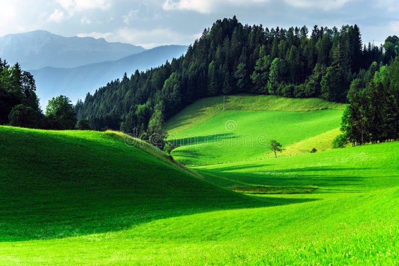 Green Grass Waves in Austrian Field Stock Image - Image of alpine ...