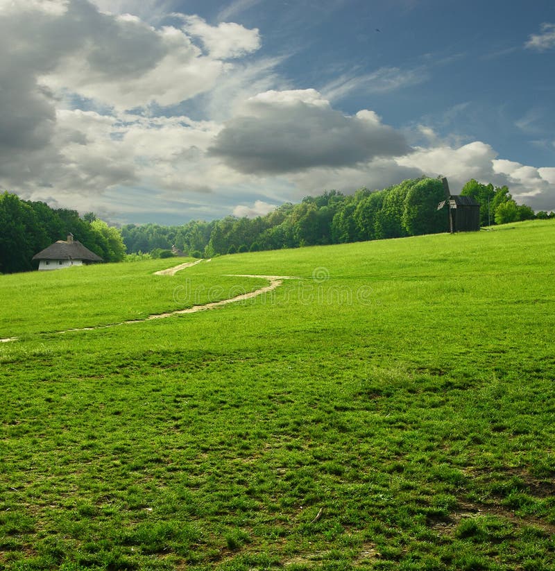 Green grass way stock photo. Image of beautiful, background - 4676486