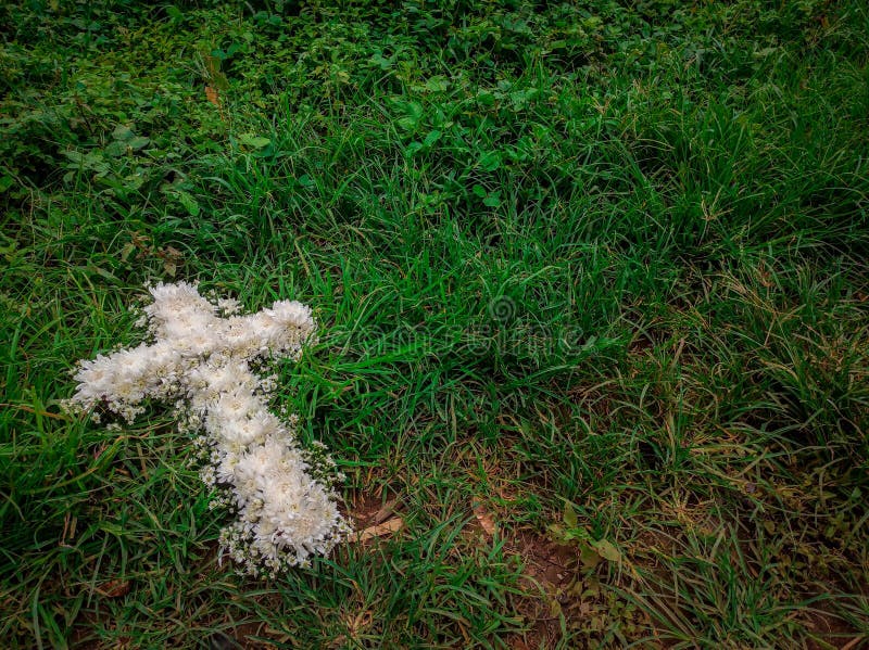 Green Grass and White Cross Made from White Little Flower Stock Image ...