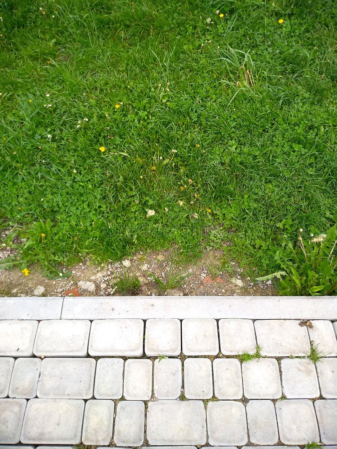 Green Grass and White, Grey Pavements. Handmade and Nature Stock Photo ...