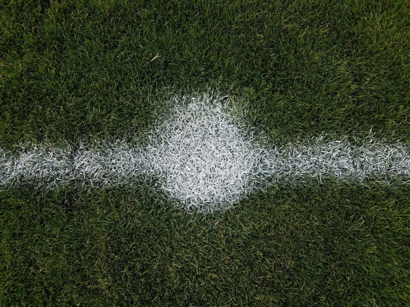 Green Grass with White Paint Stock Photo - Image of spraypaint, yard ...