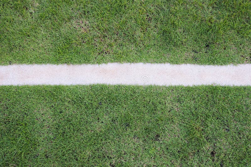 Green Grass with White Stripes Stock Image - Image of natural, foliage ...