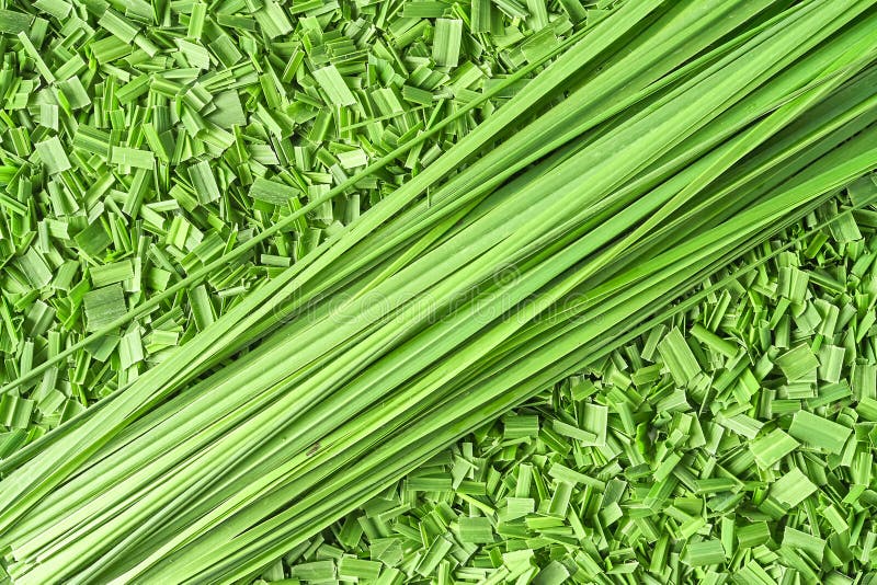 Green Grass Whole and in Small Pieces Stock Photo - Image of ingredient ...