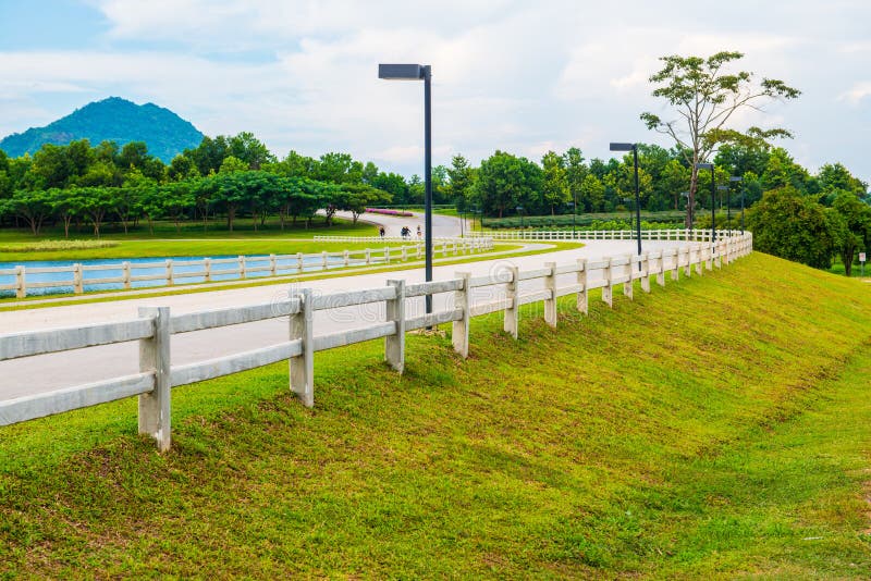 Green Grass Yard with Bicycle Lane Stock Image - Image of plant ...
