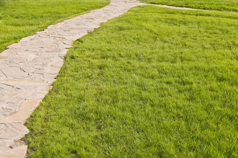 Green grassed area stock image. Image of lush, foliage - 11559063