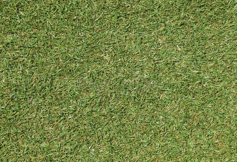 Green grassed area stock photo. Image of foliage, clean - 12135840