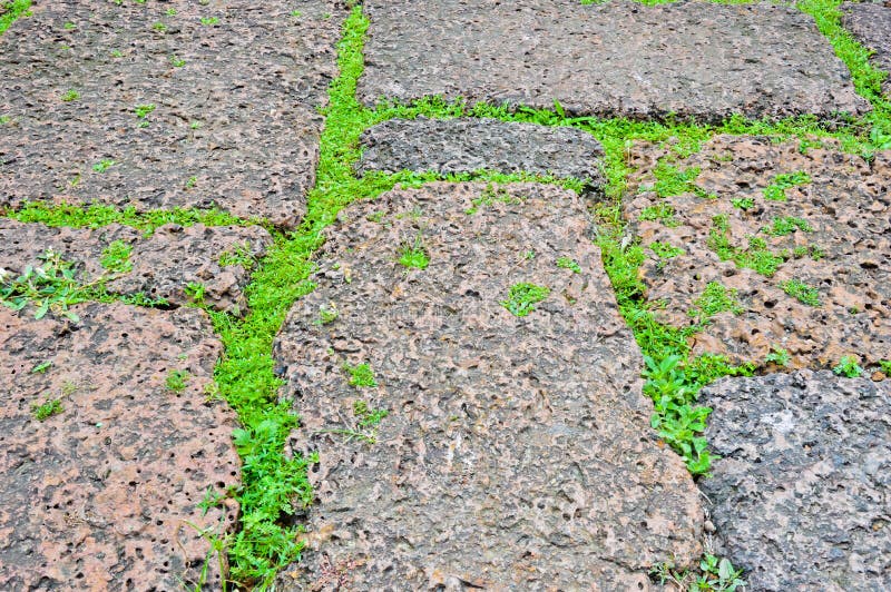 Porous Rock Texture stock image. Image of shale, textured - 86993955