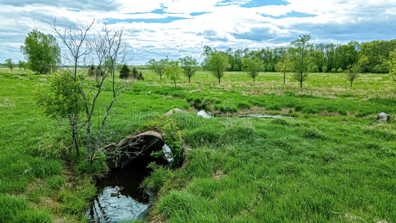 Green Grassy Field and Trees with Small Stream in Spring Stock Image ...